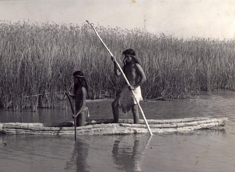 Ohlone Foodways – BHSM Online Exhibits